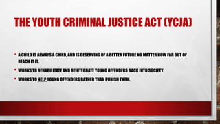 Should the justice system be harder on young | PPT