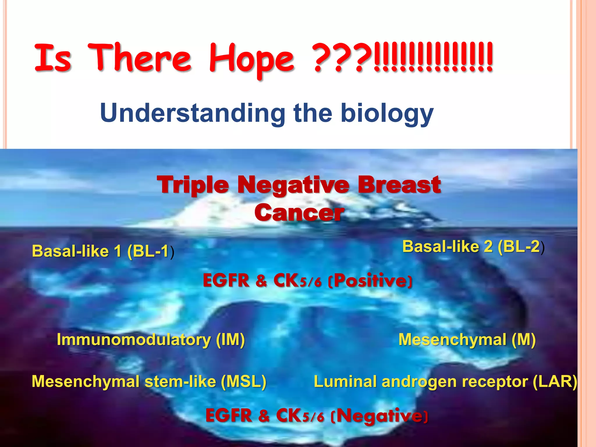 Should triple negative breast cancer (tnbc) subtype | PPTX