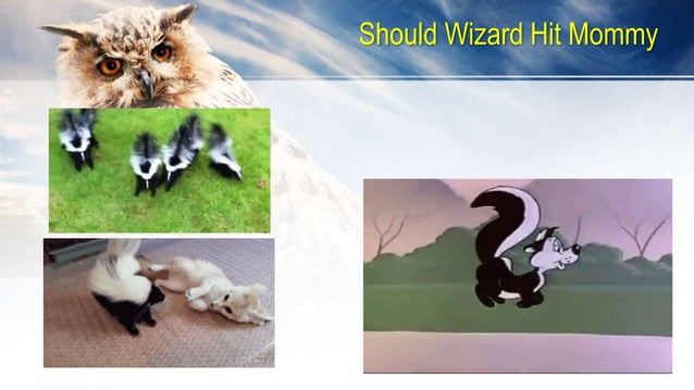 Should Wizard Hit Mommy | PPSX