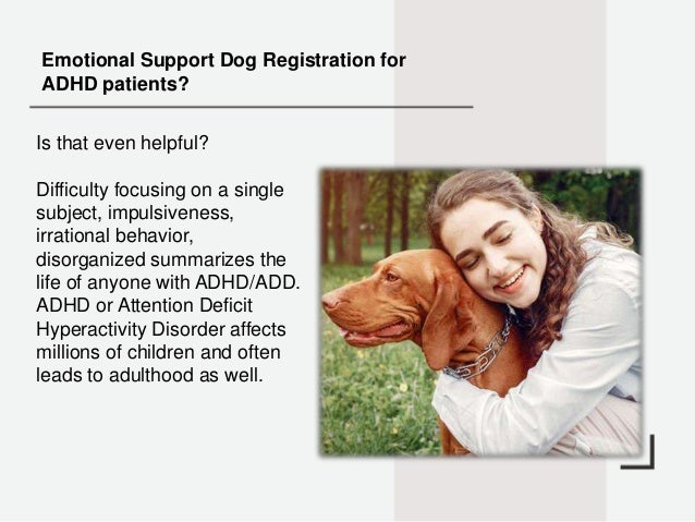 Can You Get An Emotional Support Dog For Adhd