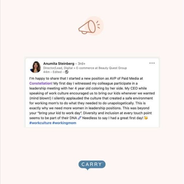 CARRY™ Shoutout — Constellation Agency | PPTX