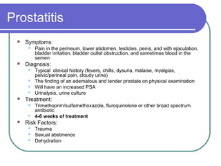 Urinary Tract Infection | PPT | Sexual Conditions | Sexual Health
