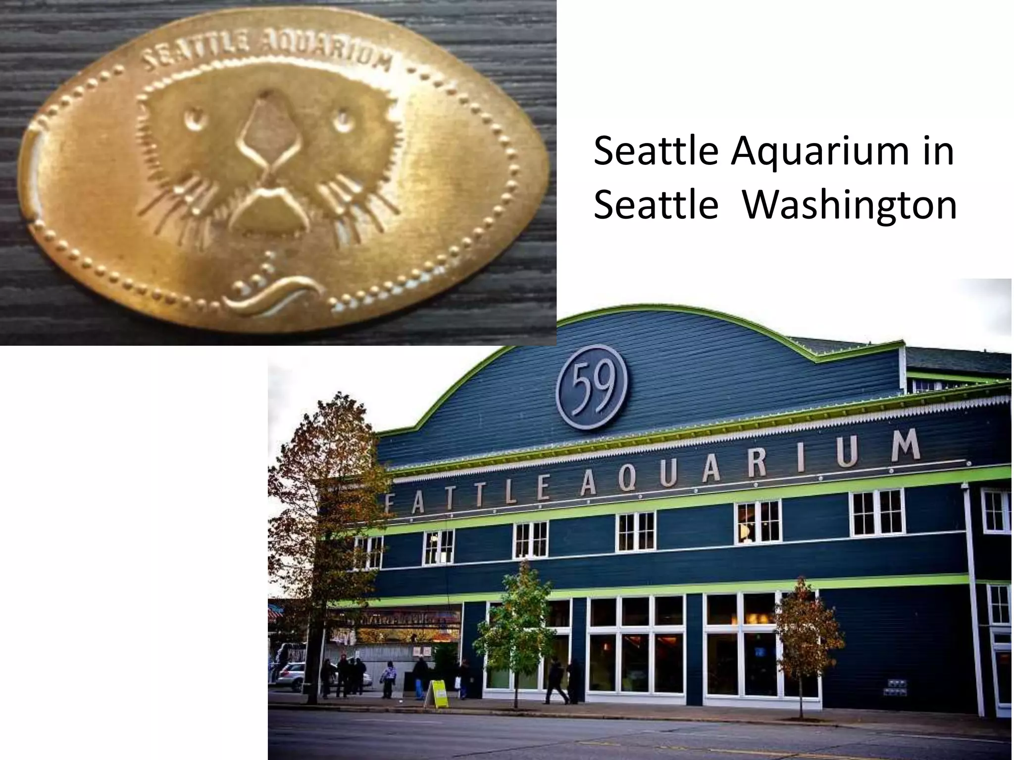 Show and tell | PPTX