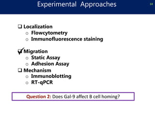 Gal-9 Sigma Xi ppt | PPTX | Endocrine and Metabolic Diseases | Diseases ...