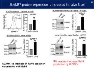 Gal-9 Sigma Xi ppt | PPTX | Endocrine and Metabolic Diseases | Diseases ...