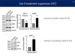 Gal-9 Sigma Xi ppt | PPTX | Endocrine and Metabolic Diseases | Diseases ...