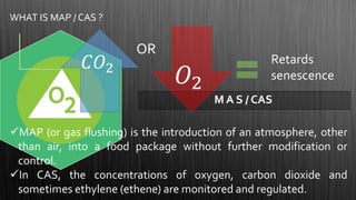 Minimal food processing | PPSX