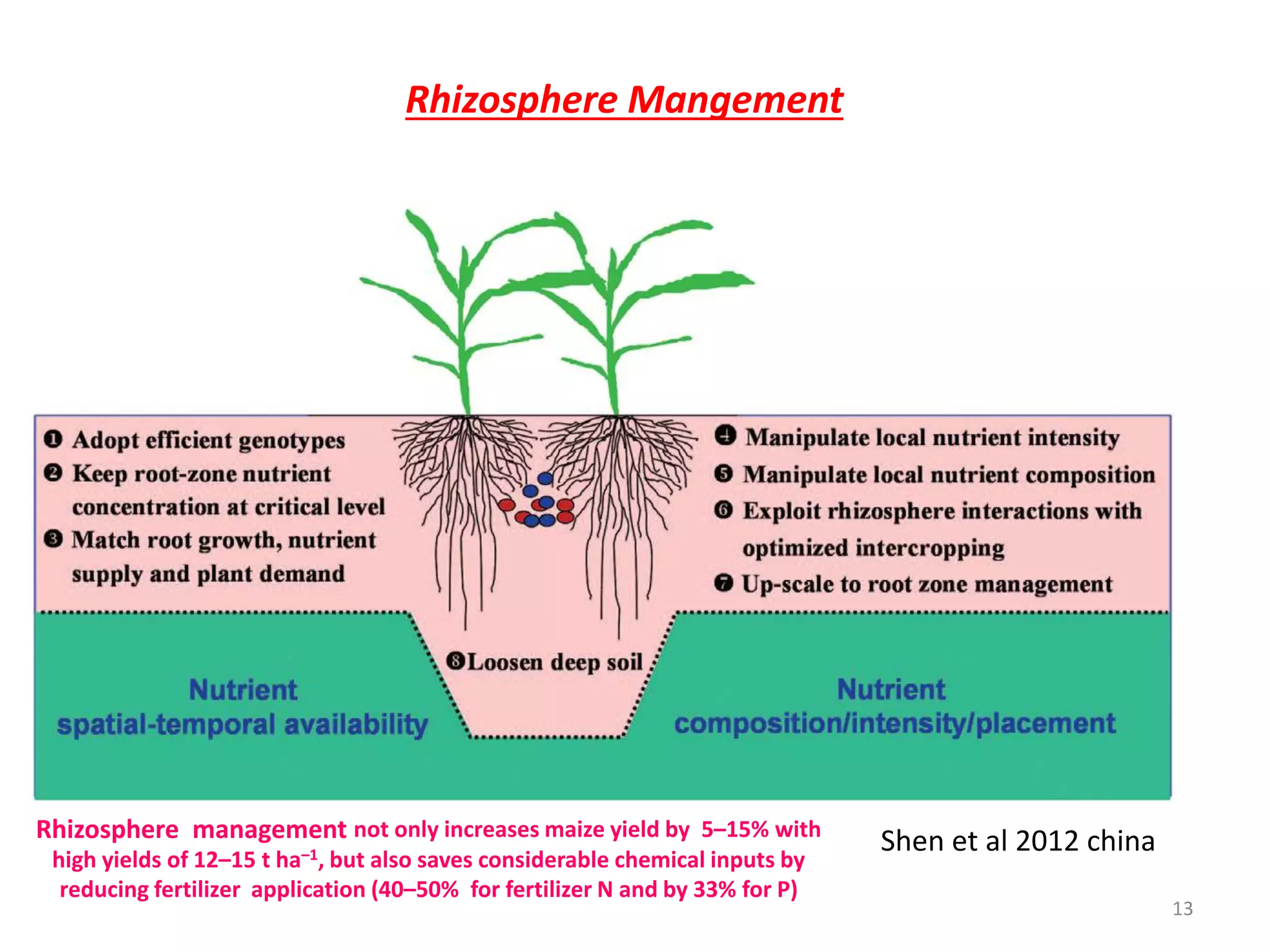 nutrient use efficiency | PPTX