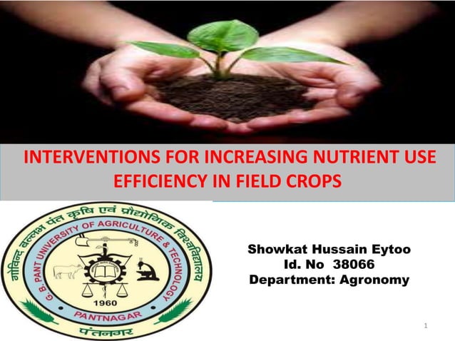 INCREASING NUTRIENT USE EFFICIENCY | PPT
