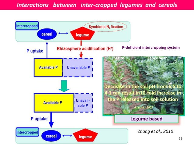 nutrient use efficiency | PPTX