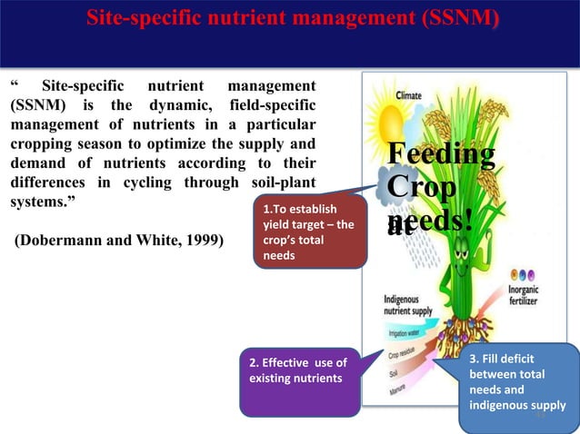 nutrient use efficiency | PPTX