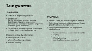 Show me the signs | PPTX