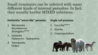 Show me the signs | PPTX