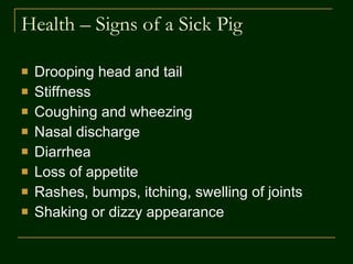 Show pig management | PPT