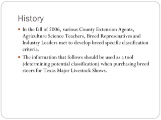 Show steer classification guidelines | PPT
