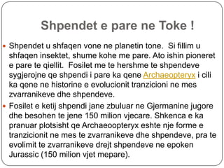 Evolucioni i Shpendeve | PPTX