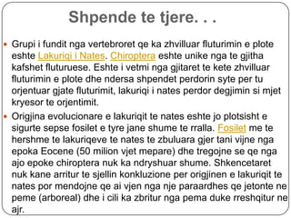 Evolucioni i Shpendeve | PPTX