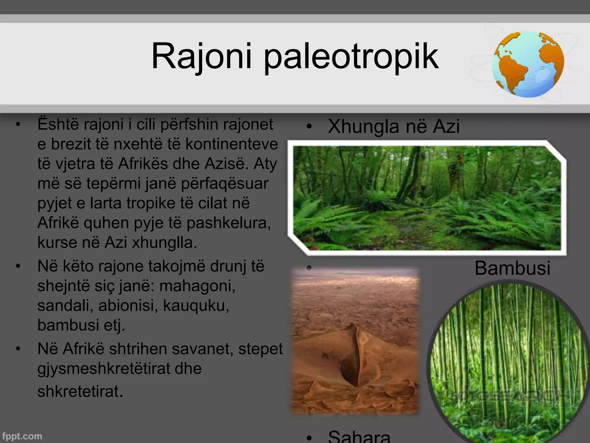 Shperndarja gjeografike e botes bimore dhe shtazore | PPT