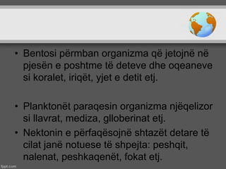 Shperndarja gjeografike e botes bimore dhe shtazore | PPT