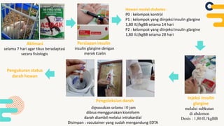 SHP krnAisha bgt sebagai contoh ppt.pptx