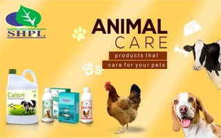 SHPL BUSINESS PLAN | PPTX