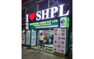 SHPL BUSINESS PLAN | PPT | Free Download