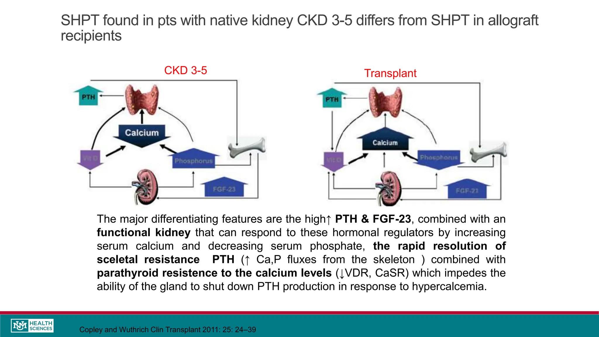 Secondary Hyperparathyroidism in Kidney Transplantation | PPTX