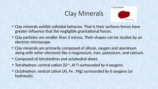 Adsorption of organic compounds by clay and role of organic substance ...