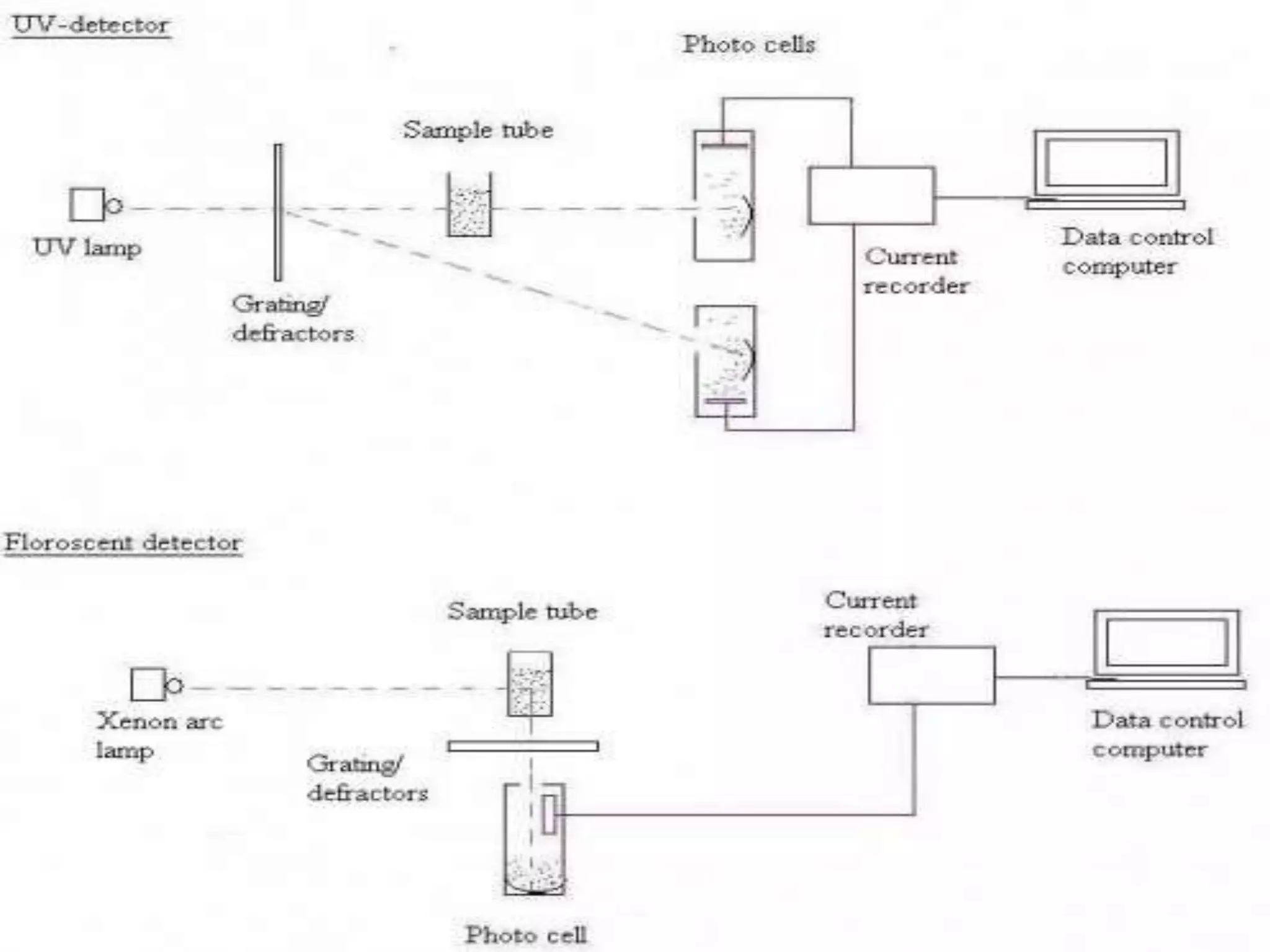 Shradha jedge | PPTX