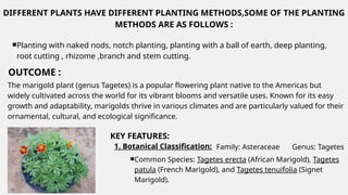 Scrproject.pptx_20250102_102943_0000.pptx