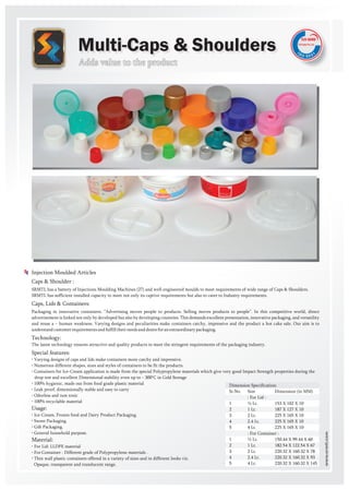 Shree Rama Multi-Tech Limited, Gandhinagar, Moulded Article & Plastic ...