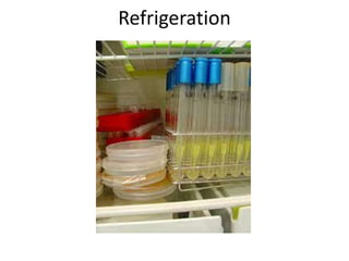 Preservation of Microbial culture.pptx | PPTX