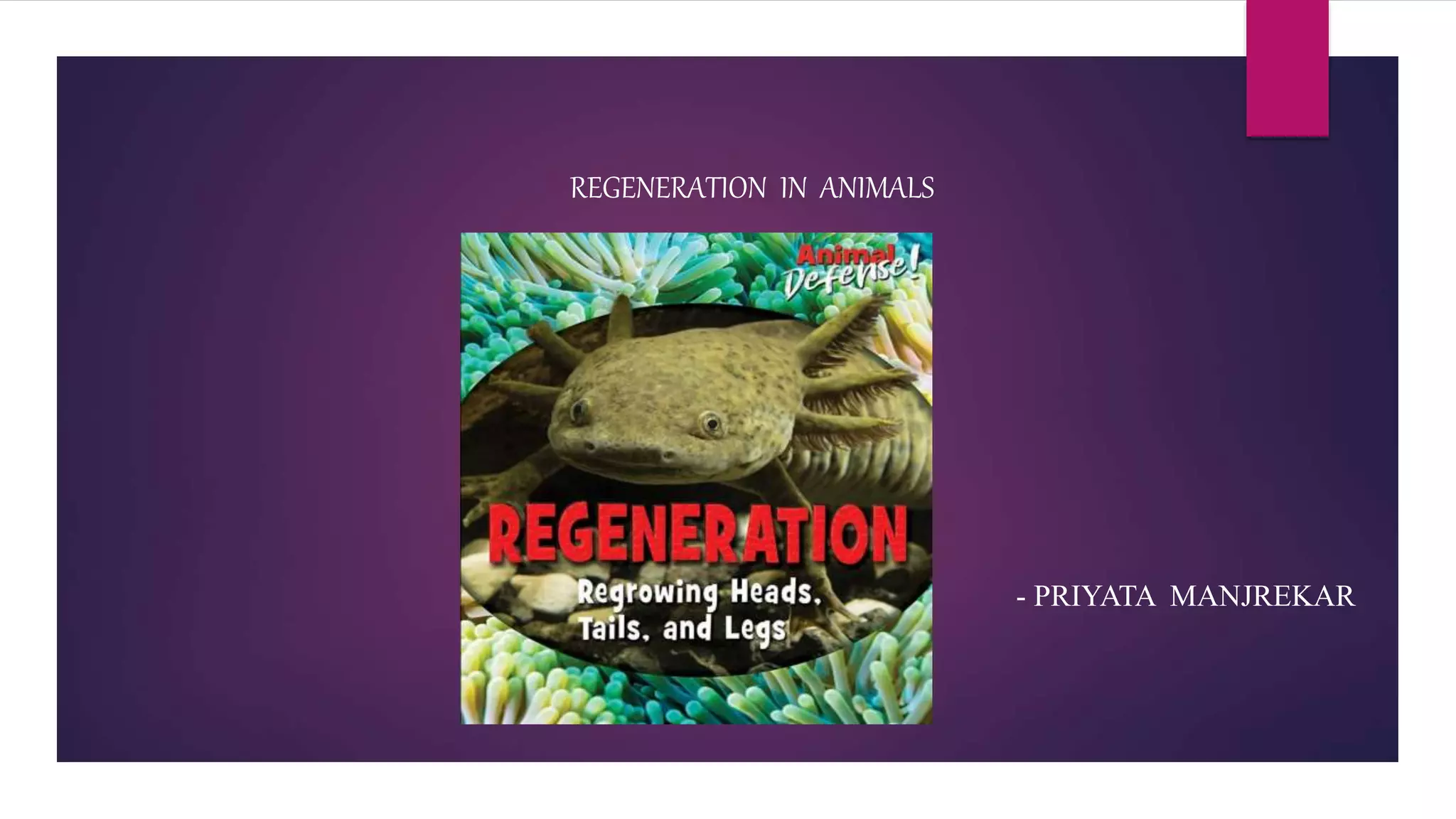 Regeneration in animals except earthworm | PPTX