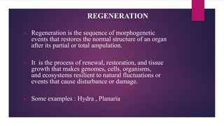 Regeneration in animals except earthworm | PPTX | Biological Sciences ...