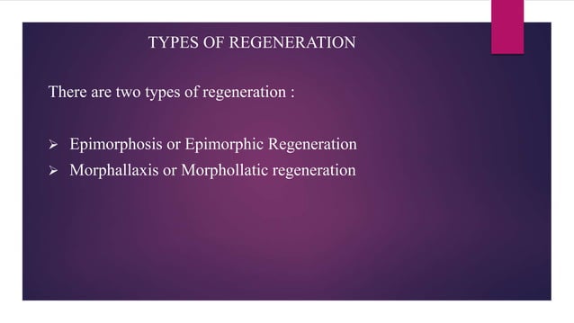 Regeneration in animals except earthworm | PPTX | Biological Sciences ...