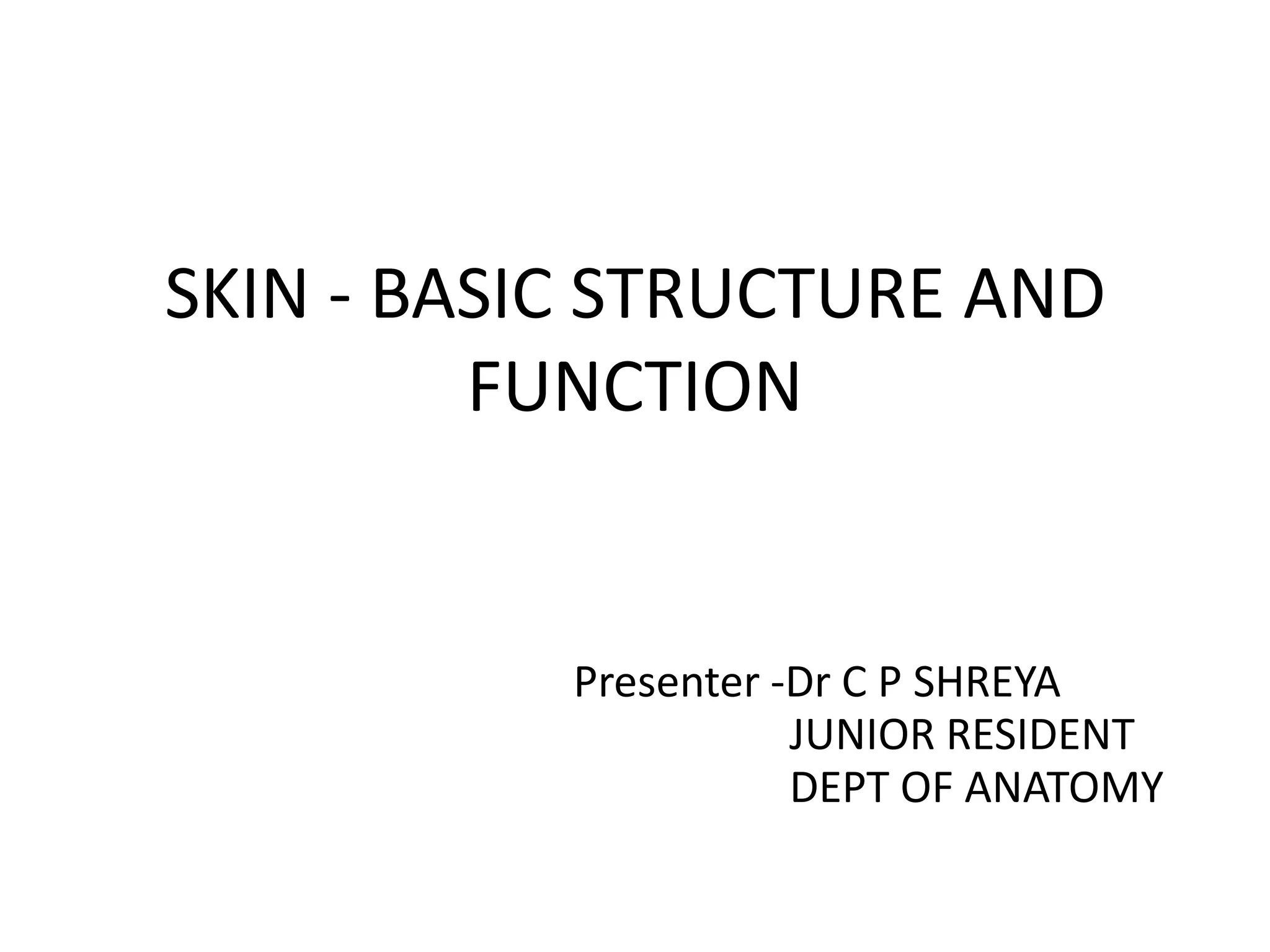 ppt skin - layers of skin in the human body | PPTX