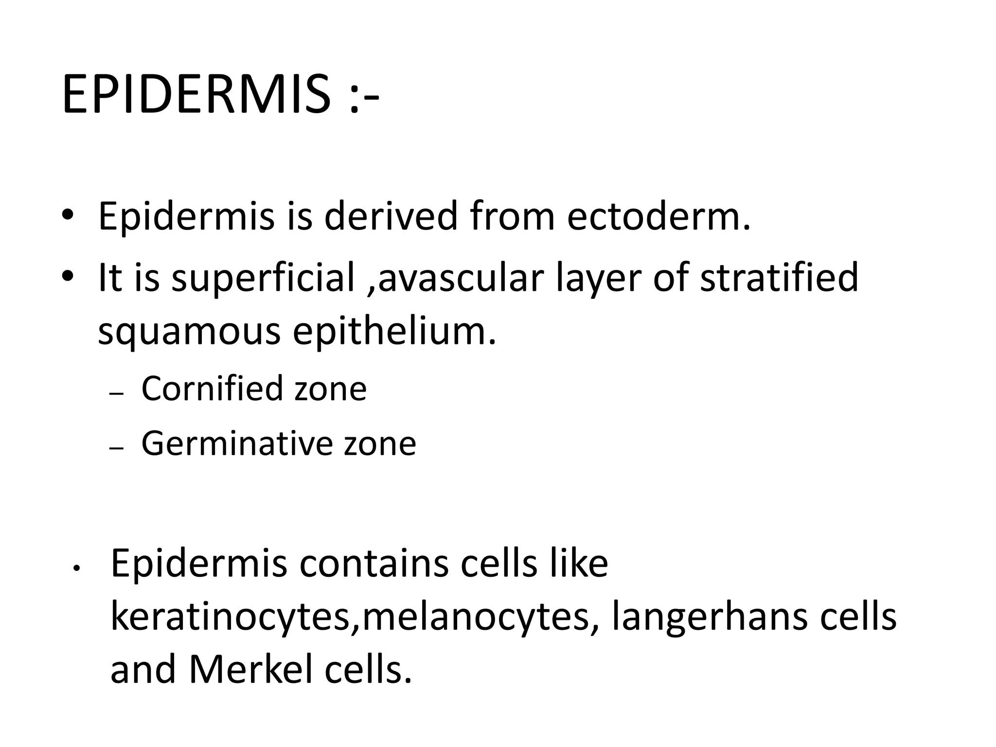 ppt skin - layers of skin in the human body | PPTX