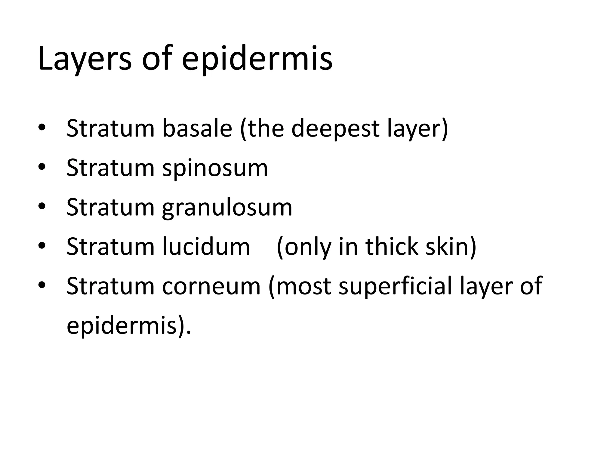 ppt skin - layers of skin in the human body | PPTX