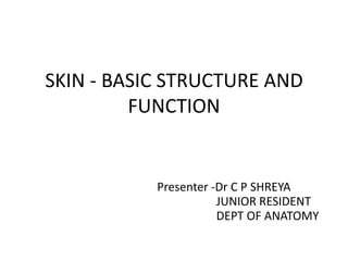 ppt skin - layers of skin in the human body | PPTX