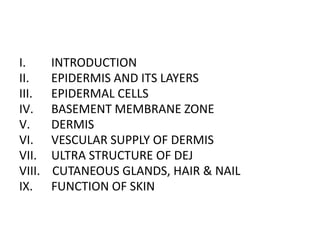 ppt skin - layers of skin in the human body | PPTX