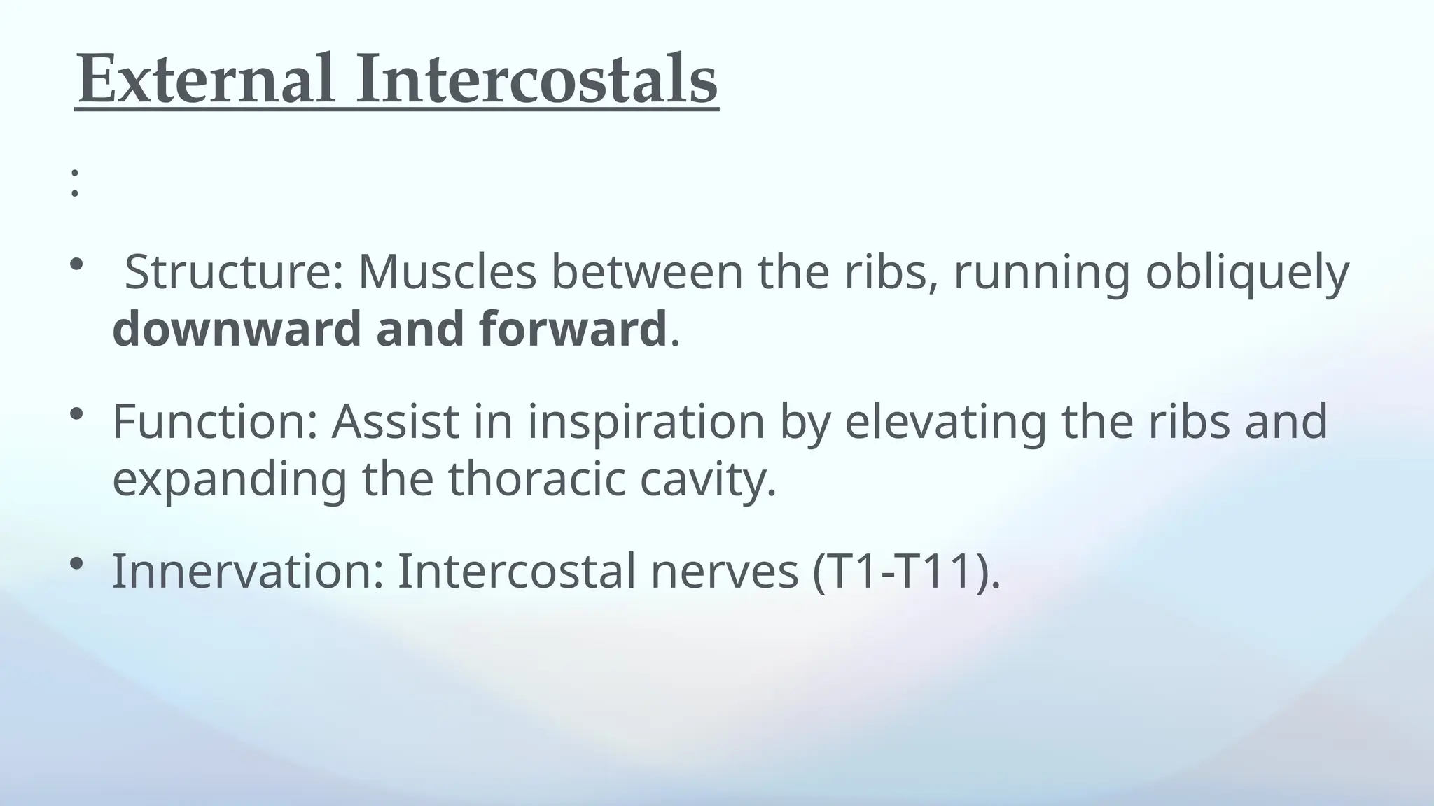 Respiratory muscles functioning and anatomy | PPTX