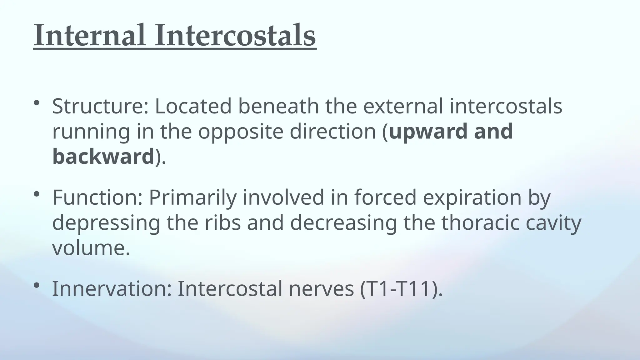 Respiratory muscles functioning and anatomy | PPTX