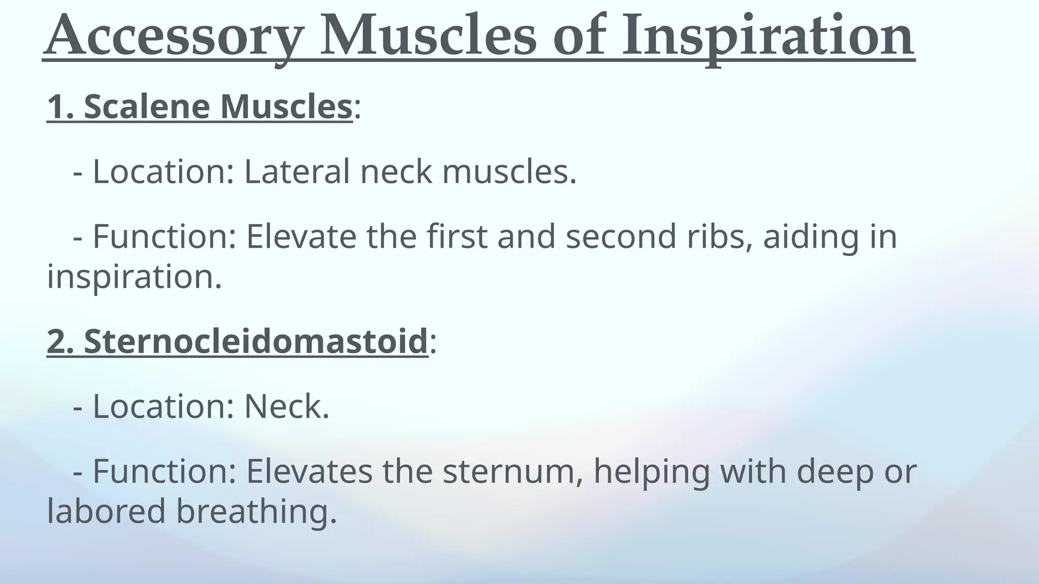 Respiratory muscles functioning and anatomy | PPTX