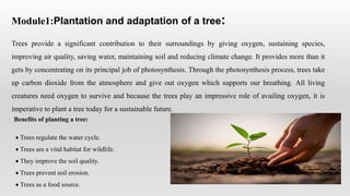 social connect and responsibilities.pptx
