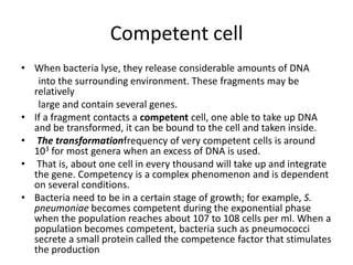 Shreya transformation ppt | PPTX