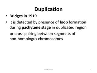 Structural chromosome aberrations | PPTX