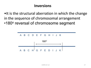Structural chromosome aberrations | PPTX