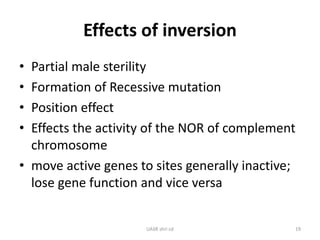 Structural chromosome aberrations | PPTX