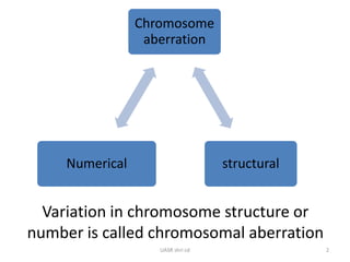 Structural chromosome aberrations | PPTX