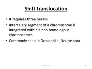 Structural chromosome aberrations | PPTX